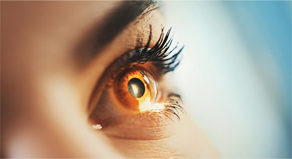 Types of Premium Lens Implants | Brooks Eye Associates